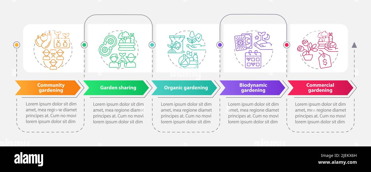 Types of gardening rectangle infographic template Stock Vector Image ... Types of gardening rectangle infographic template Stock Vector Image ...
