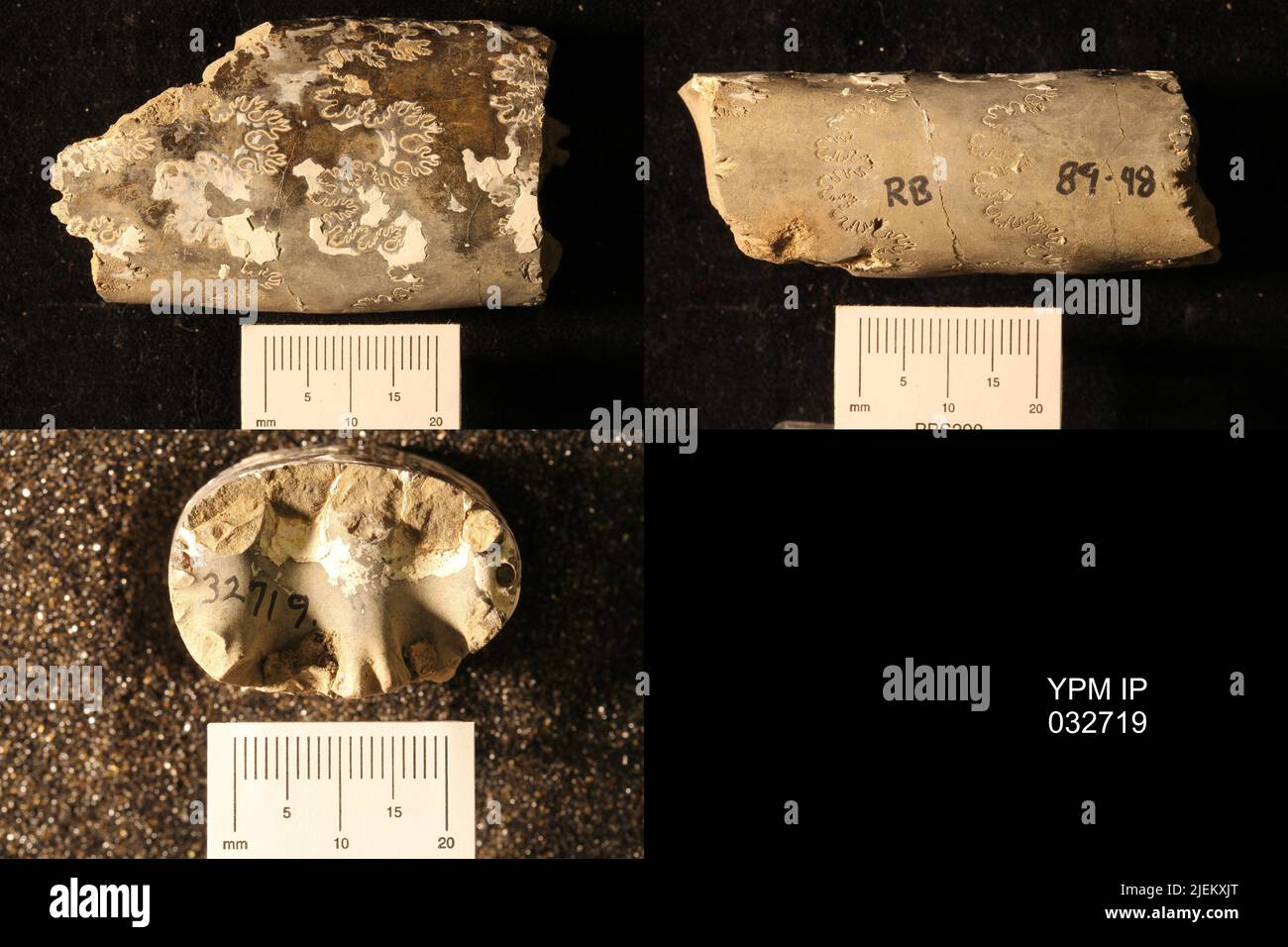 Perplexus hi-res stock photography and images - Alamy