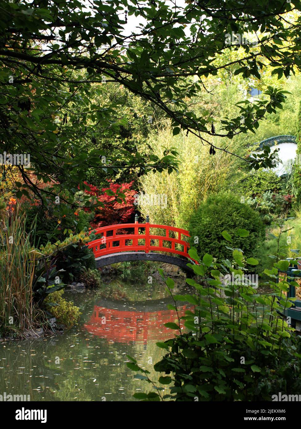 Tranquil scene of a pagoda bridge reflecting on the water surrounded by ...
