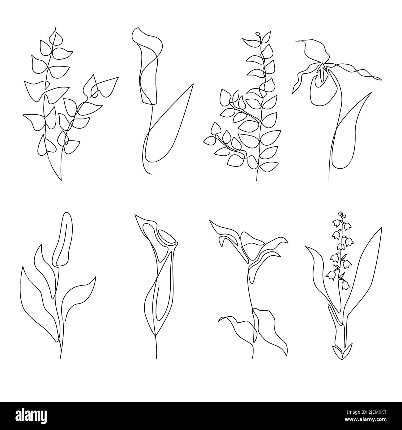Continuous line abstract flowers and leaves set. Black sketch of lily ...