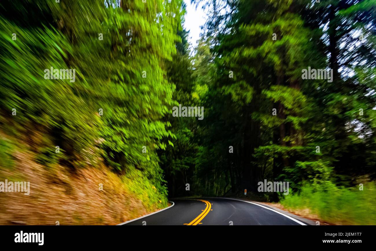 Speeding on a road in a beautiful forest Stock Photo - Alamy