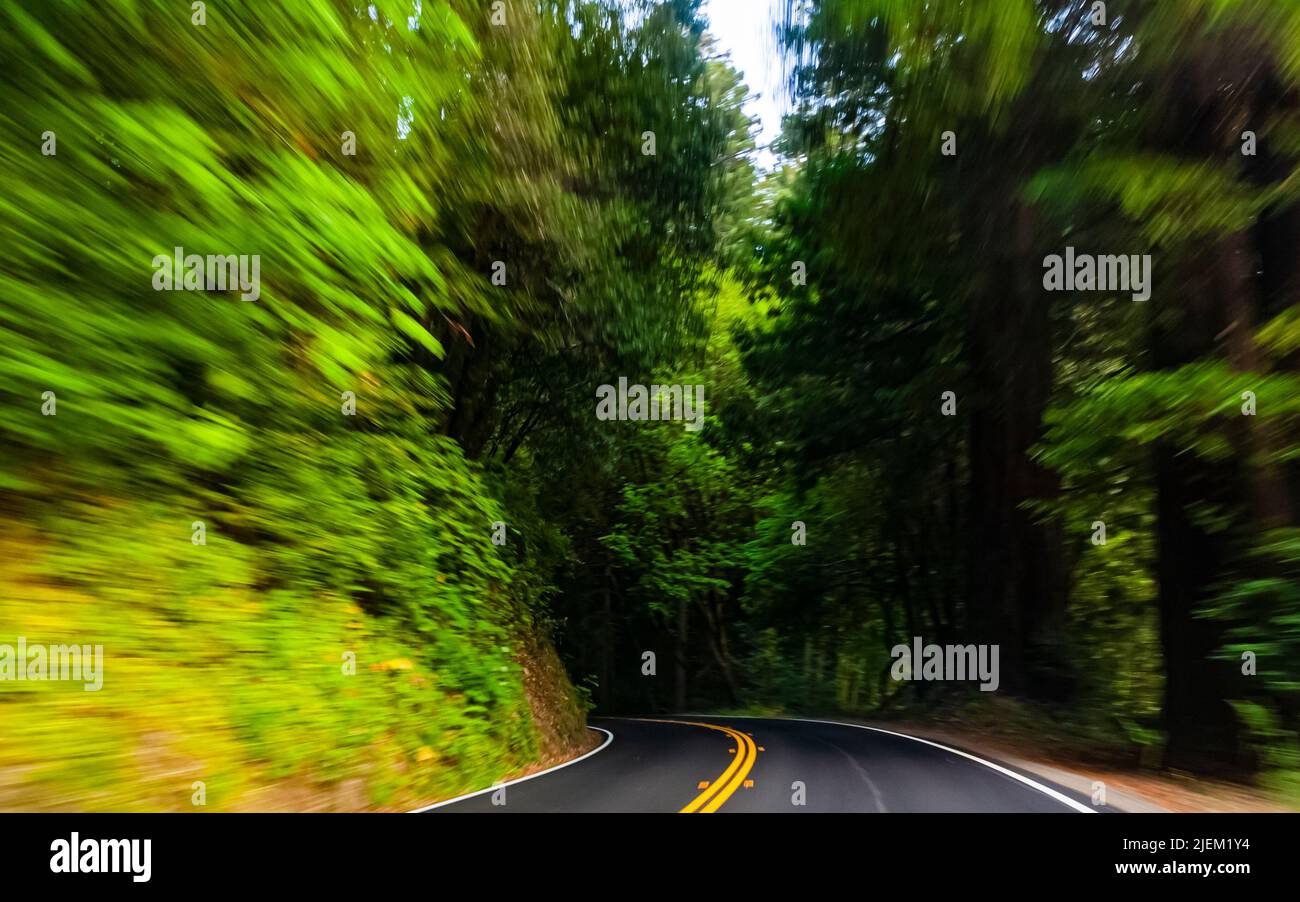 Fast driving on forest road hi-res stock photography and images - Alamy