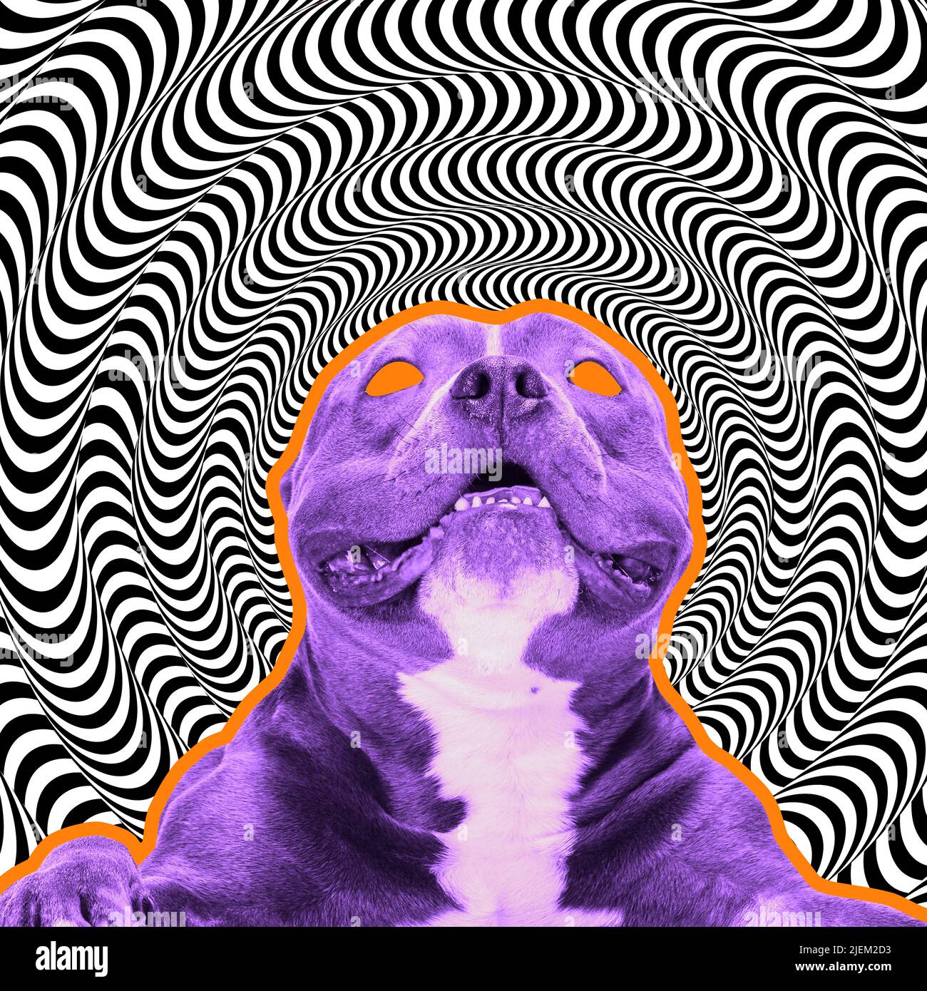 Dibujo Facil De Un Perro Zombie