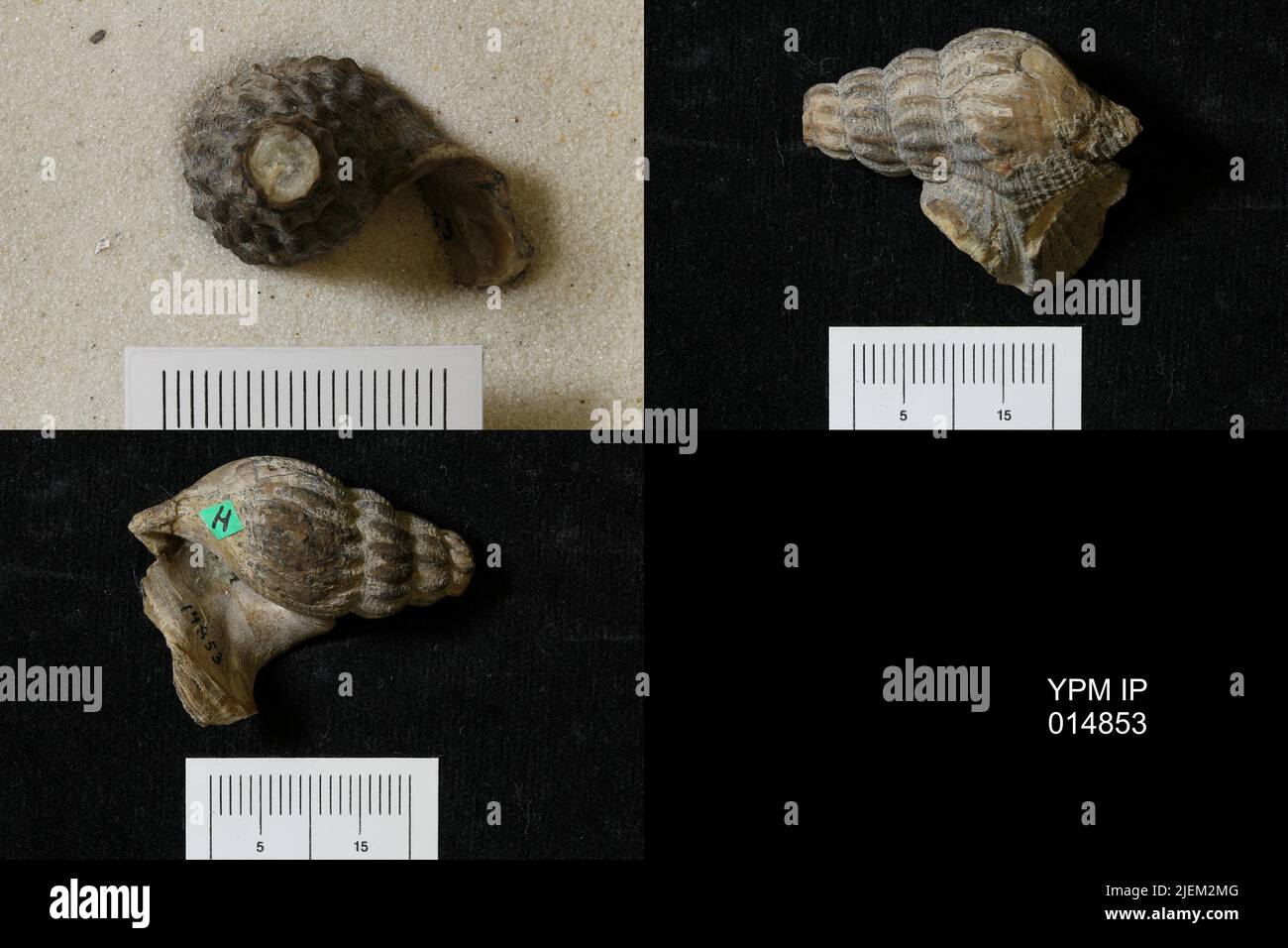 Anchura hi-res stock photography and images - Alamy