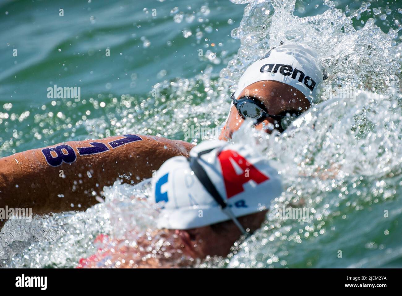 TADDEUCCI Ginevra ITA Open Water Swimming Women’s 5km FINA 19th World ...