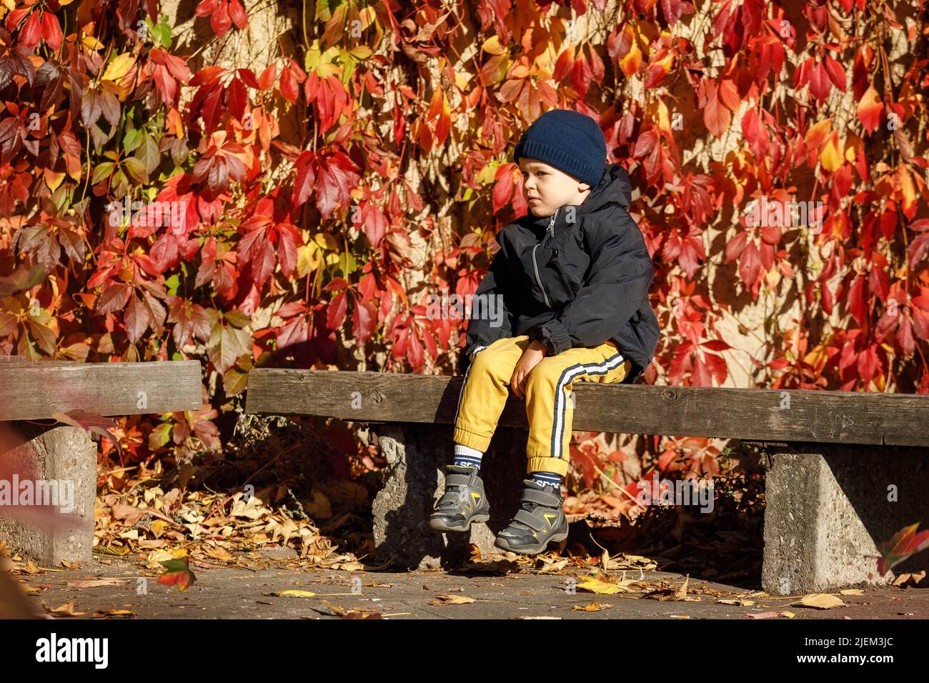 A portrait of a little sad boy in the autumn park in a colorful foliage ...