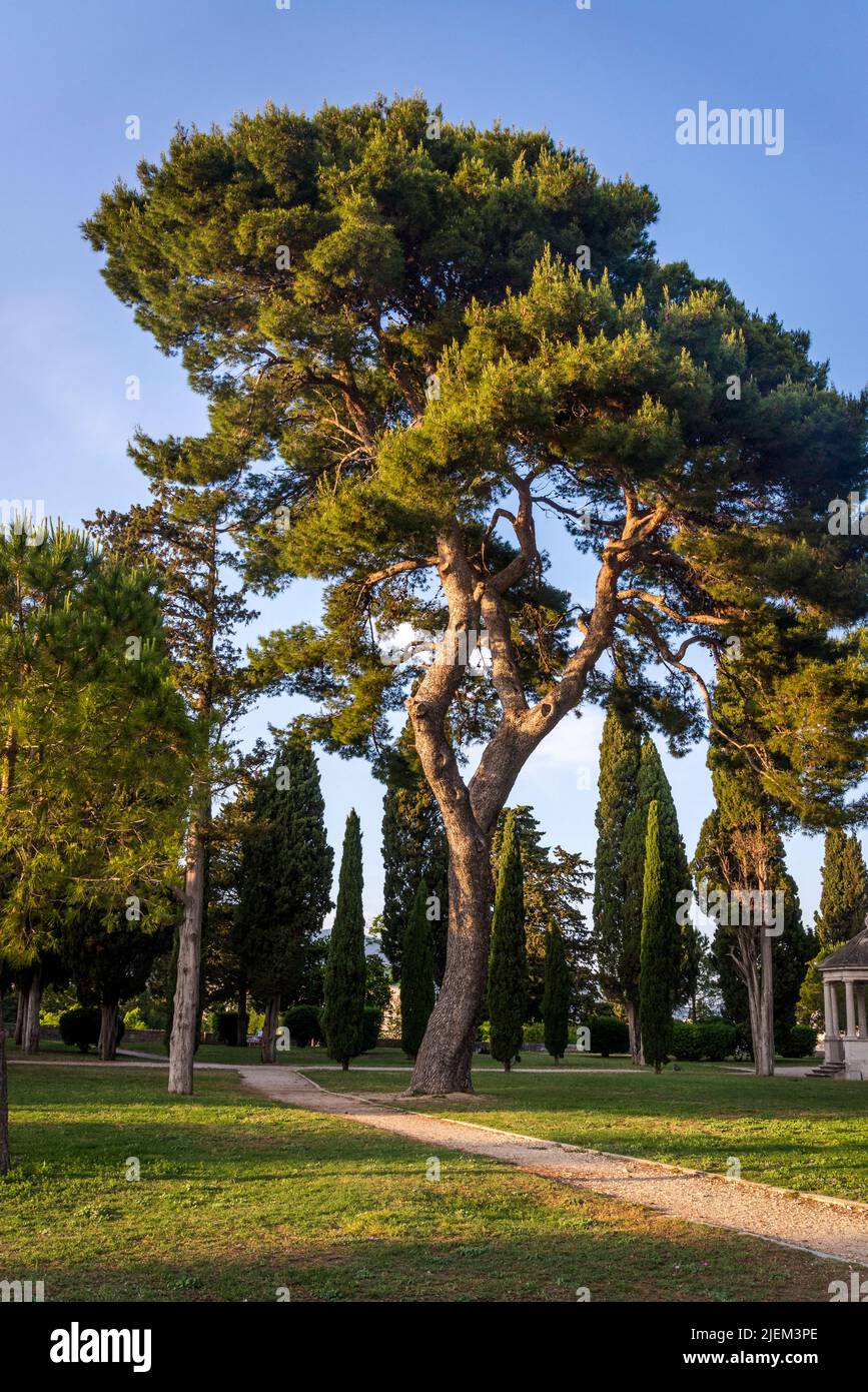 Tree filled park hi-res stock photography and images - Alamy