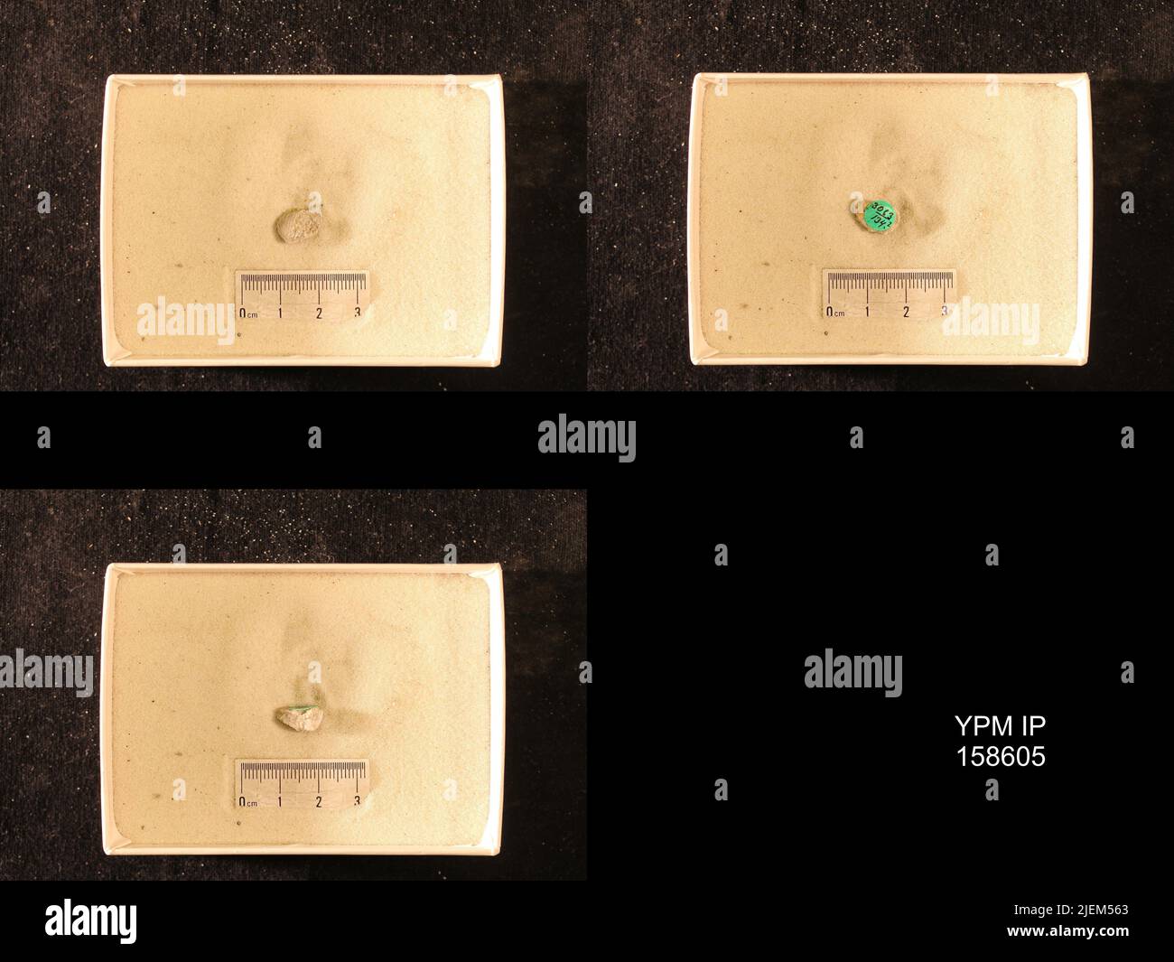 Nutrix hi-res stock photography and images - Alamy