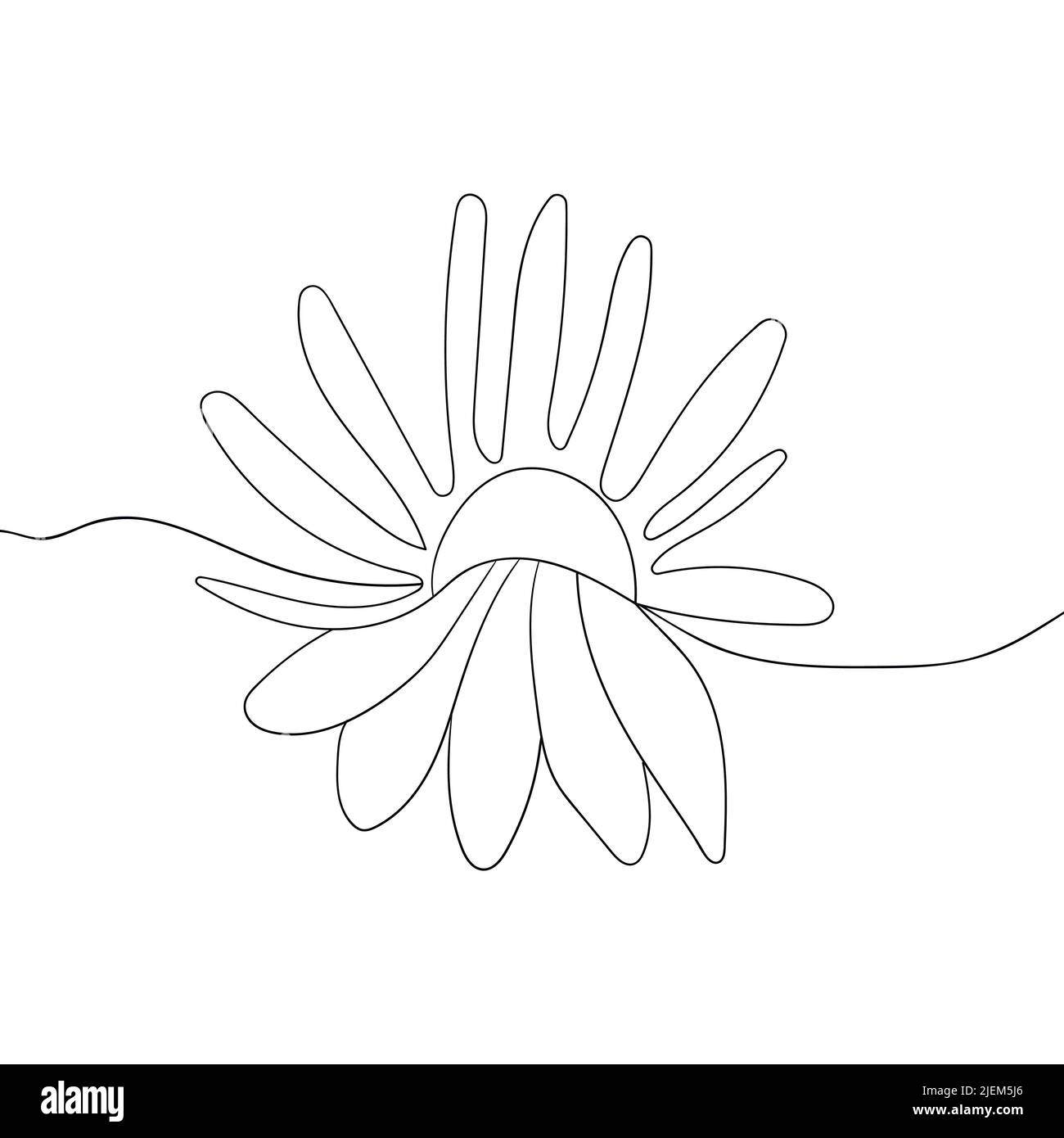 Floral silhouette art line. Flowers in continuous line drawing style ...