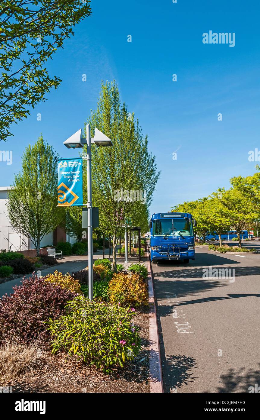 College bus wait hi-res stock photography and images - Alamy