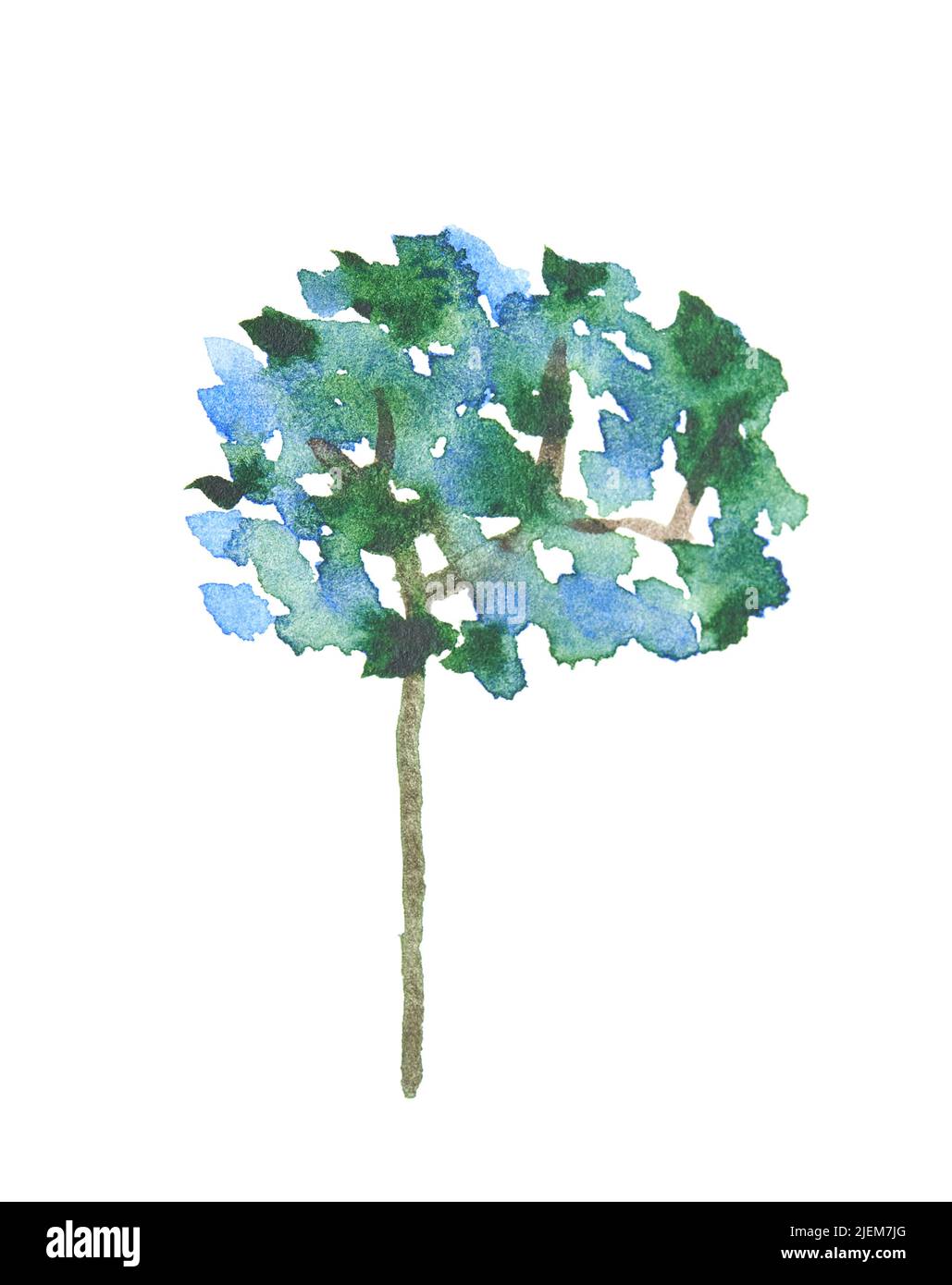 Foliar green watercolor texture tree. Summer flora branch. Beautiful ...