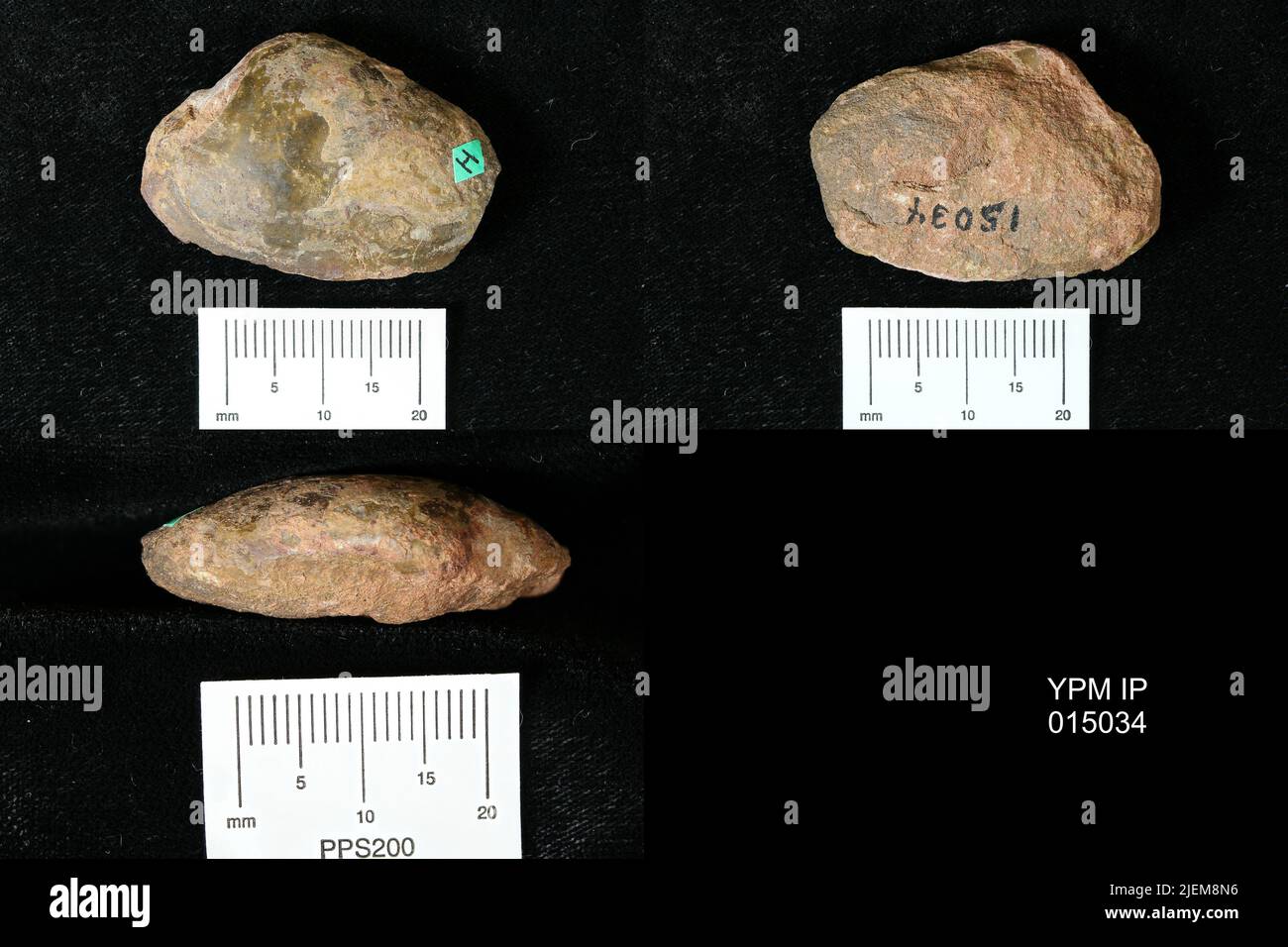 Indonaia prashadi vokes hi-res stock photography and images - Alamy