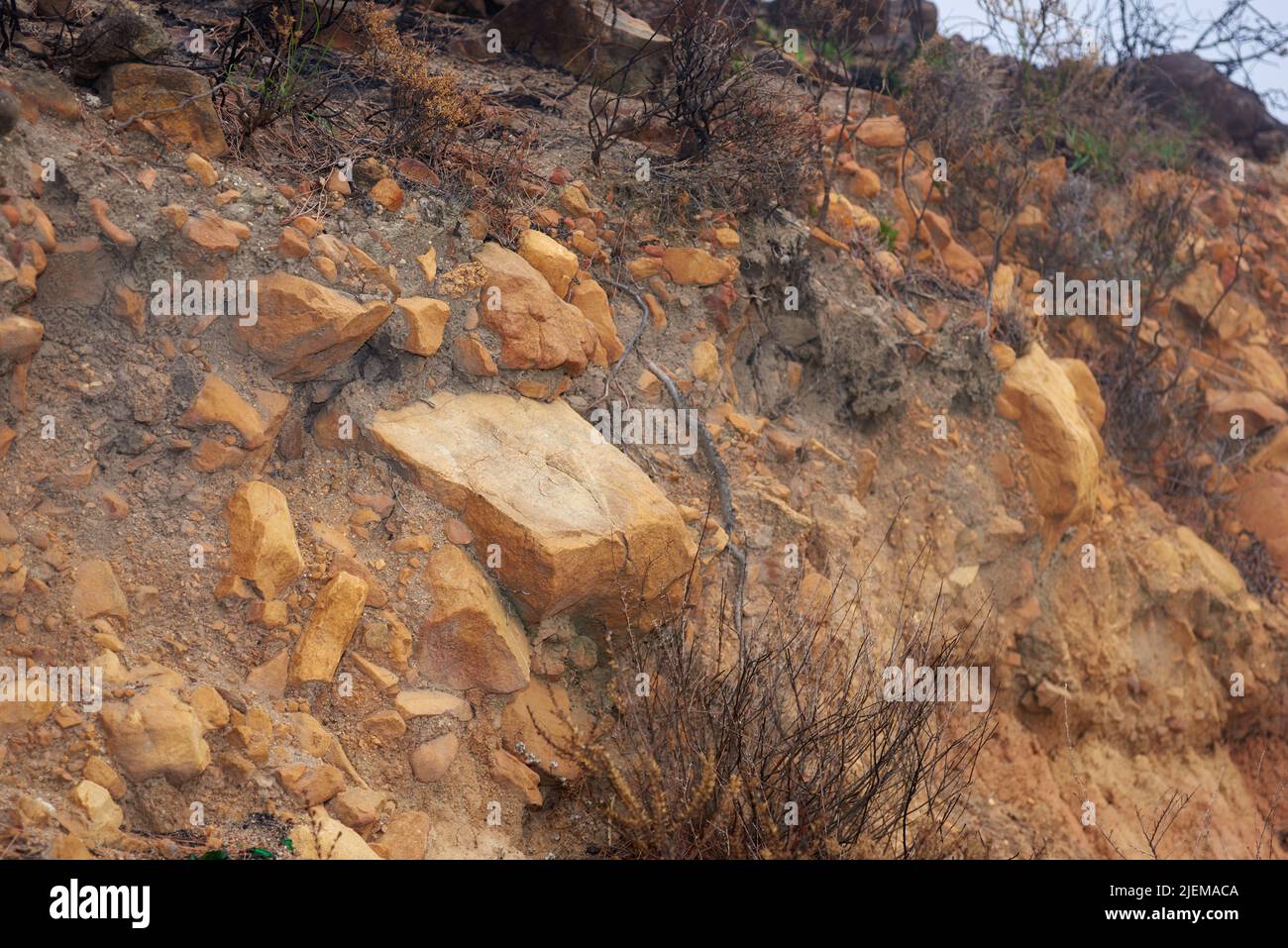 Sedimentary rock layers formed on or near the Earths surface. View of ...