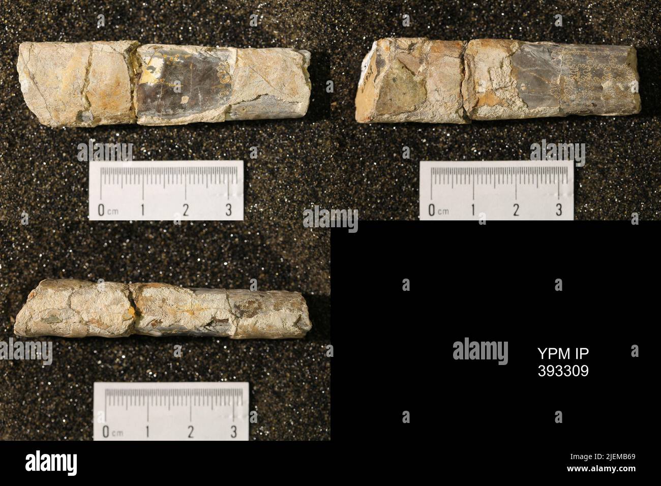 Perplexus hi-res stock photography and images - Alamy