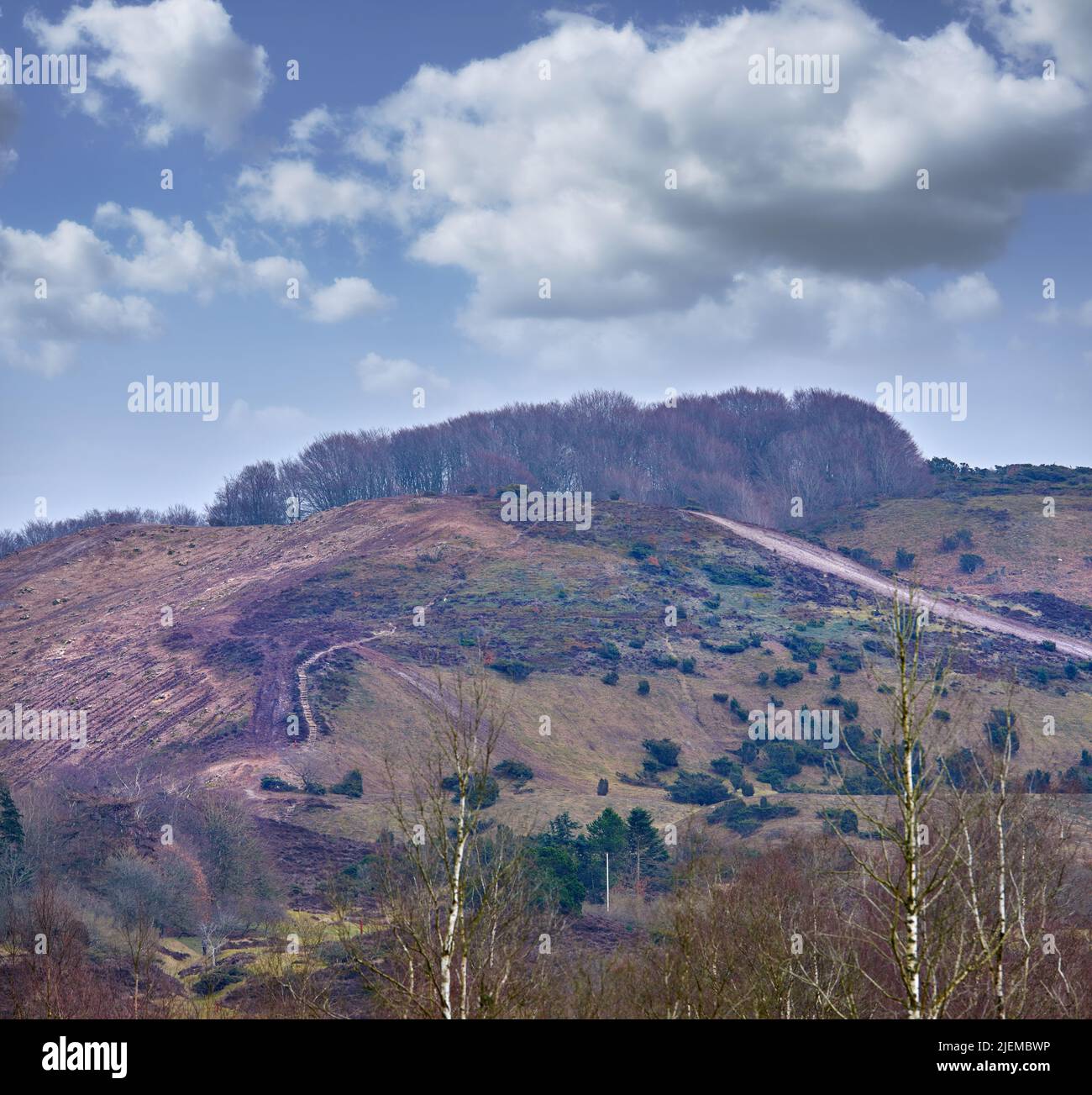 The landscape of the mountain slope with grass with narrow passages. A ...