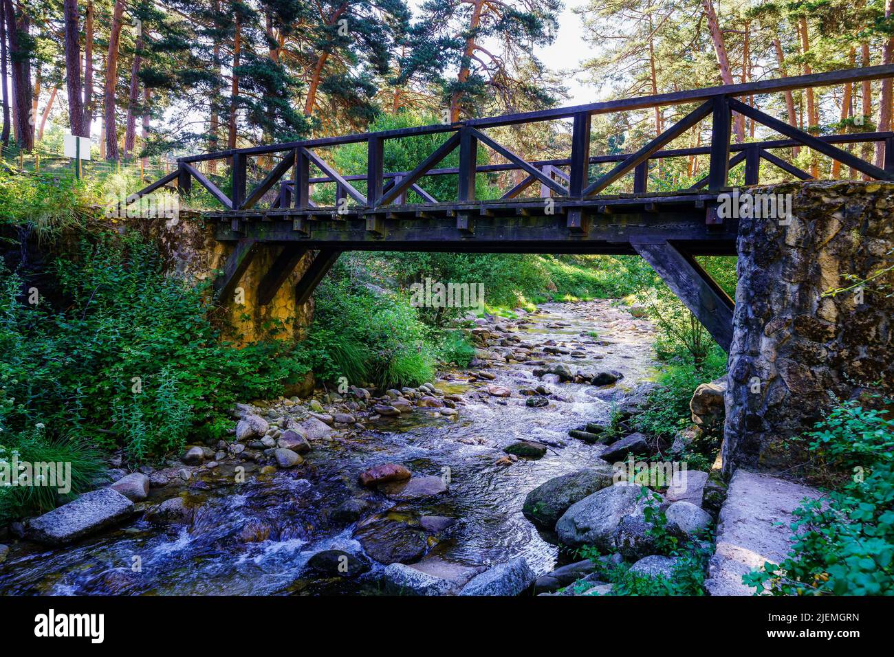 Bridge over forest hi-res stock photography and images - Alamy
