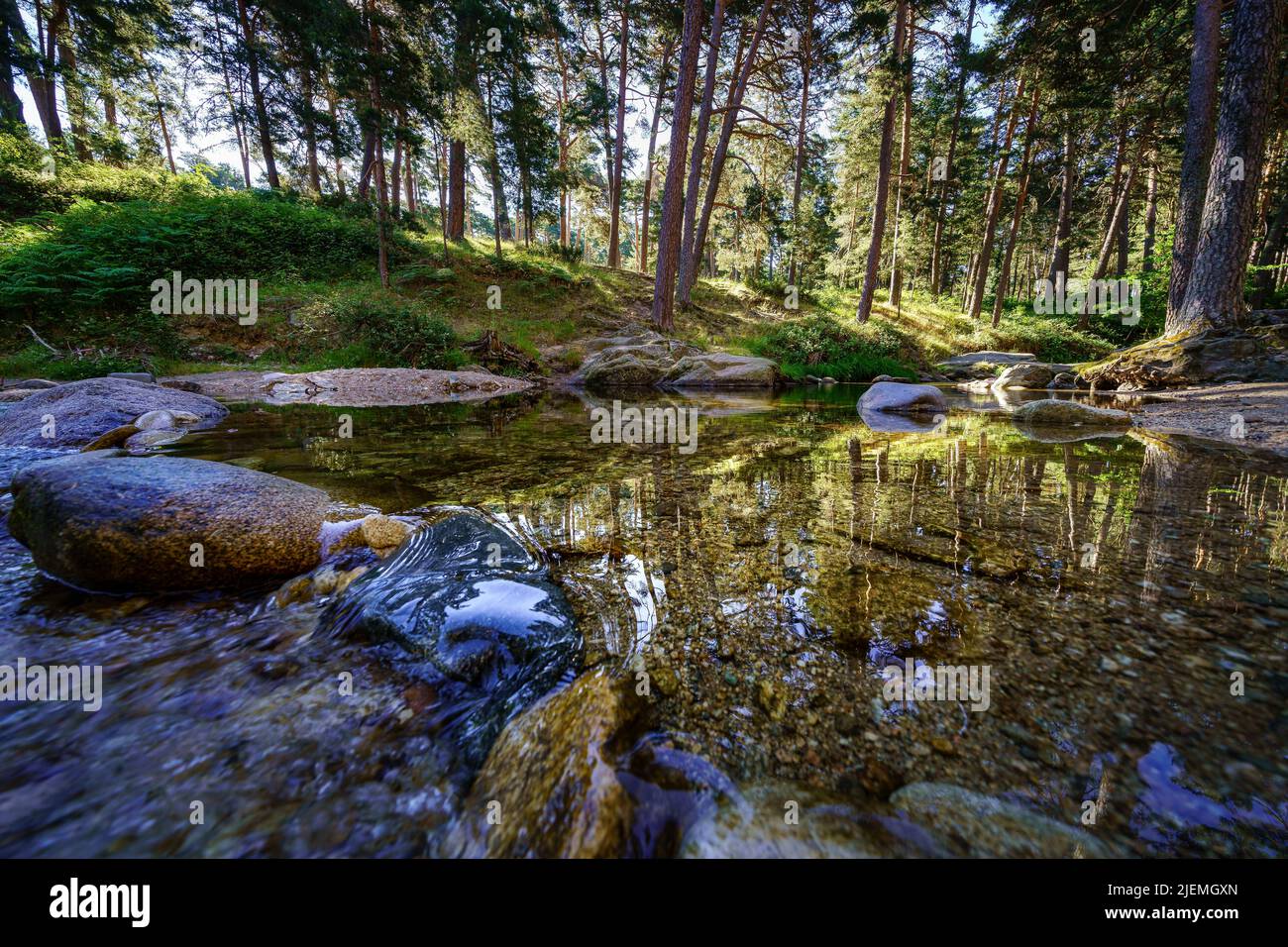 Stream with transparent water and reflections of the forest trees ...