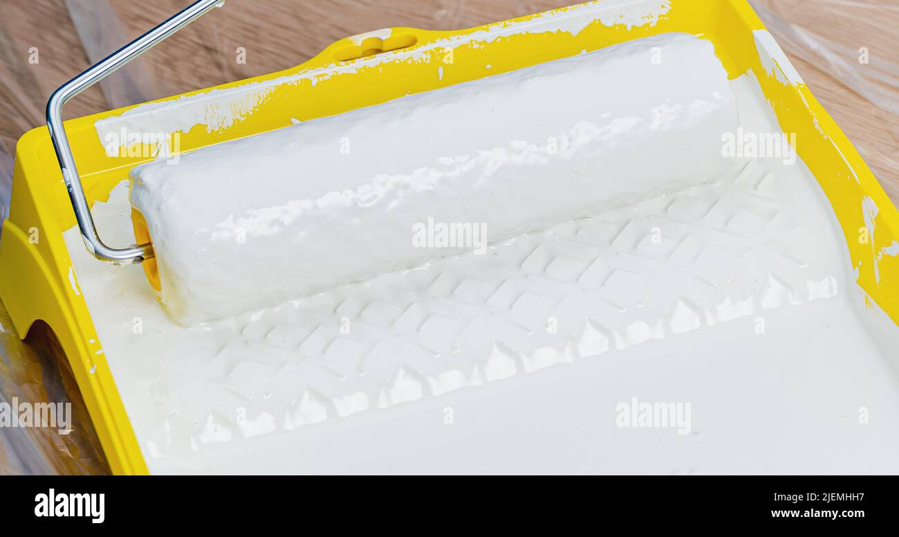 Paint roller in paint tray with white color. Repair and painting in the ...