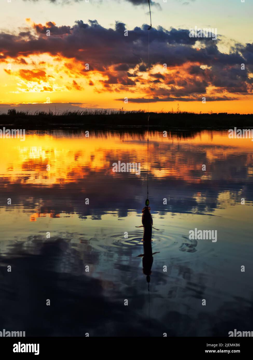 Fishing at sunset. Catching predatory fish on spinning. Sunset colors ...