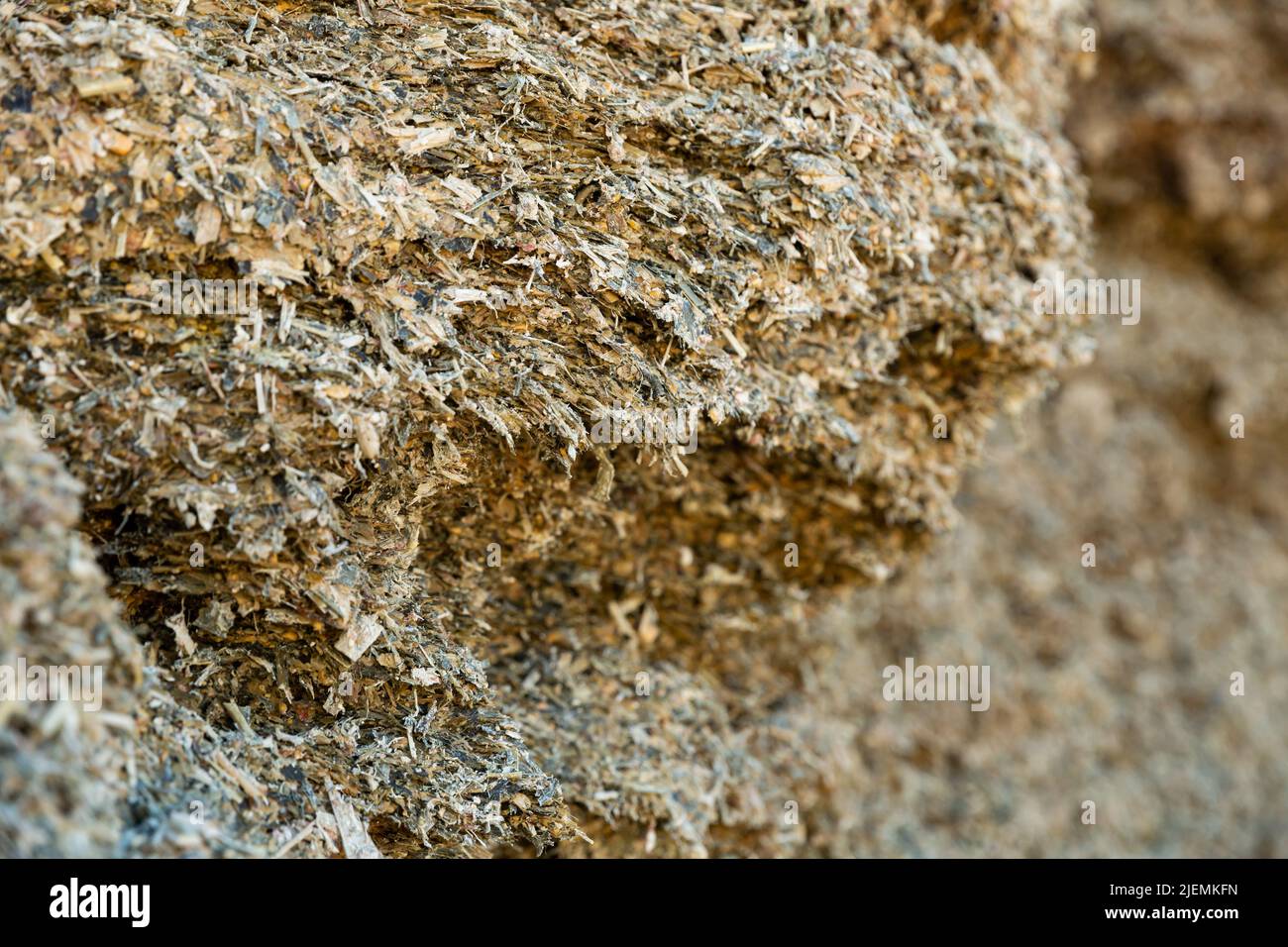 Closeup of pile of natural organic pressed maize silage Stock Photo - Alamy