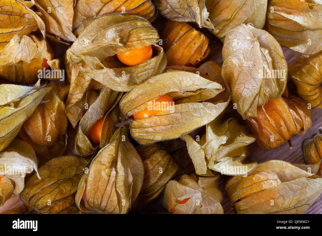 Closeup of ripe Physalis peruviana fruits Stock Photo - Alamy