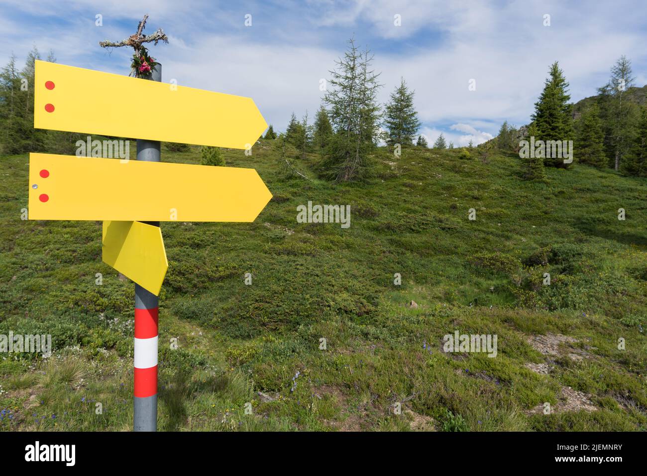 yellow, clearly visible signposts pointing in different directions in ...