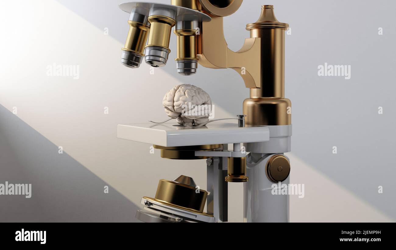 human brain under retro microscope close up. 3d rendering Stock Photo ...
