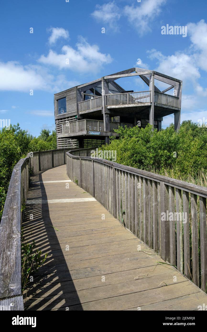 The 360 Observatory, Dyfi Osprey Project, near Machynlleth, Wales Stock ...