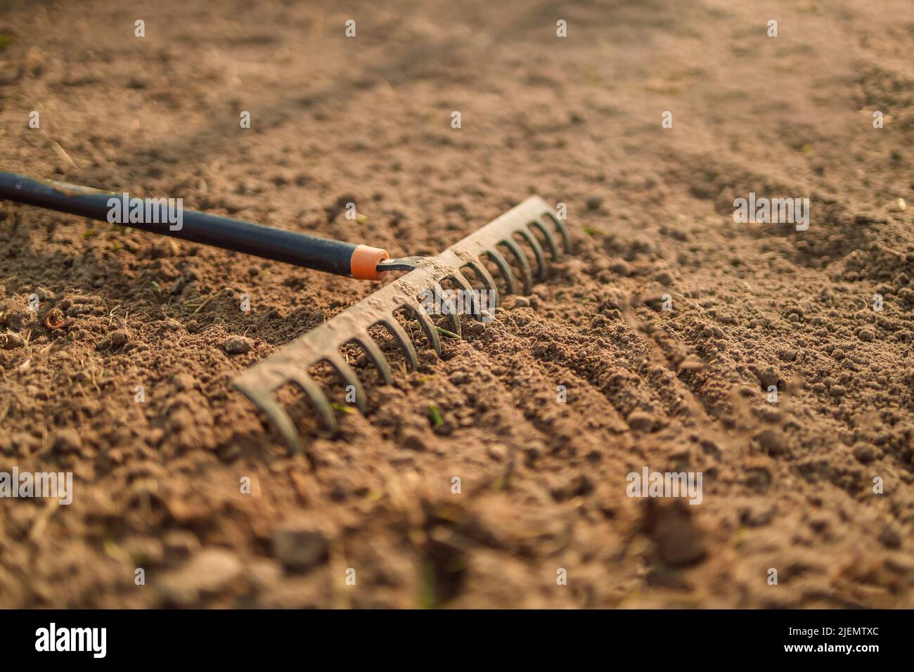Close up of an new metal garden rake cleaning earth at spring time ...