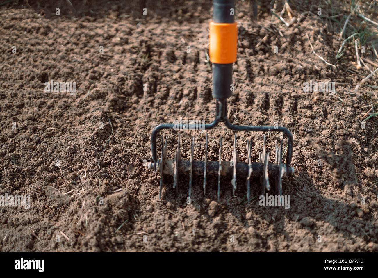 Close up of an new metal garden rake cleaning earth at spring time ...