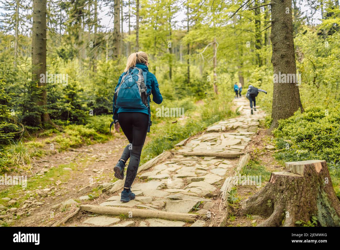Group of tourists people hiking at mountains with sports backpack ...
