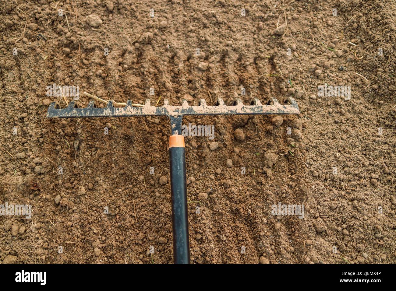 Close up of an new metal garden rake cleaning earth at spring time ...