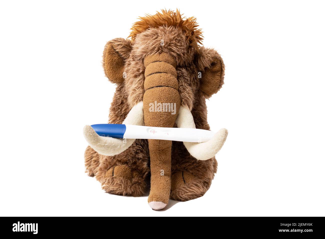 Woman pregnancy test business woman hi-res stock photography and images ...