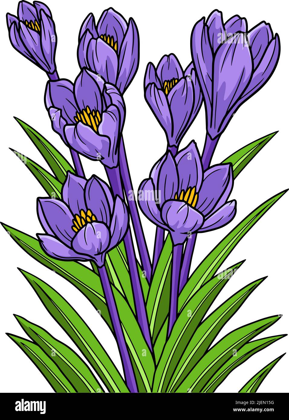 Crocuses clip art Stock Vector Images - Alamy