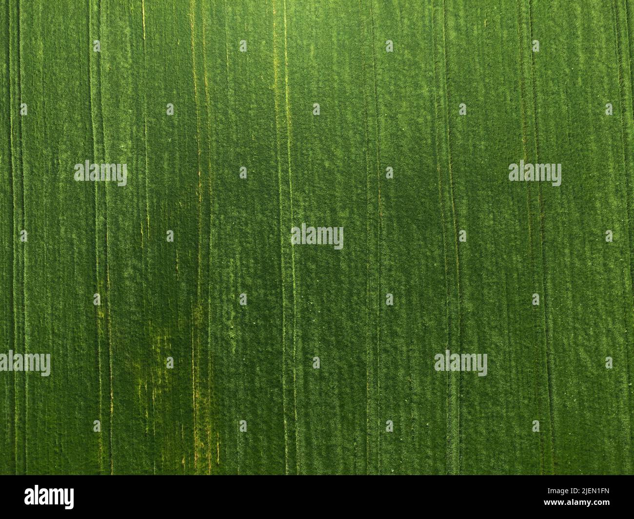 Aerial view of grass background texture Stock Photo - Alamy