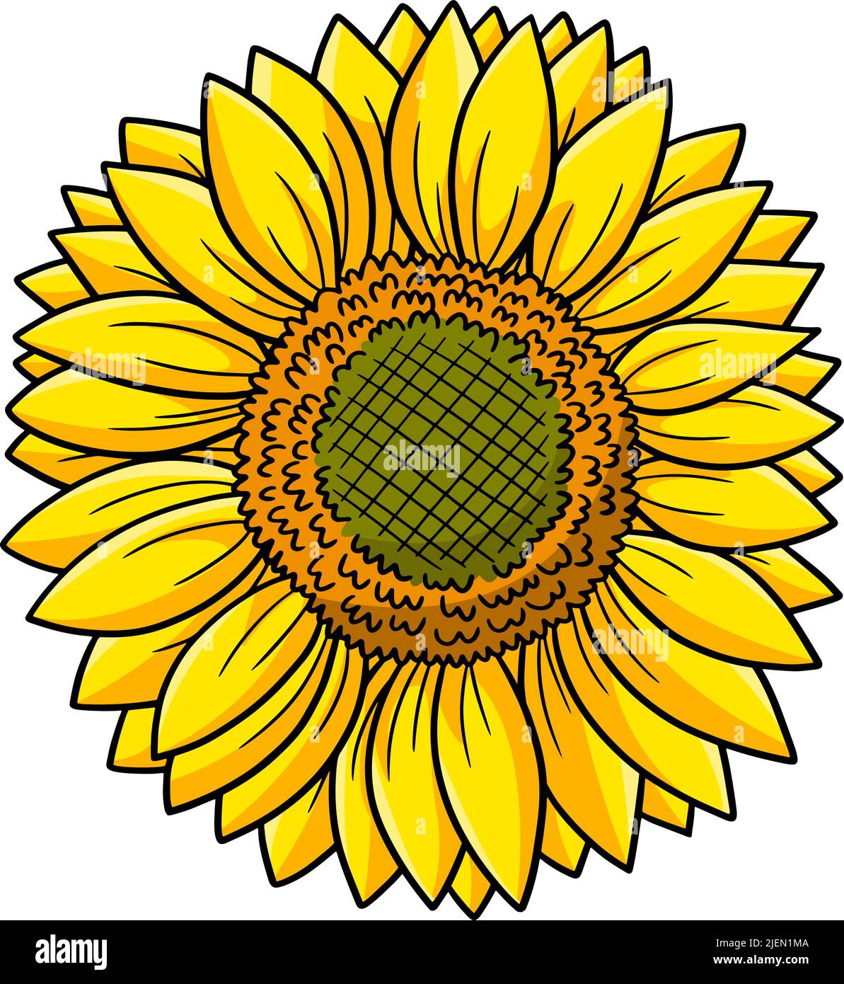 Sunflower Flower Cartoon Colored Clipart Stock Vector Image & Art - Alamy