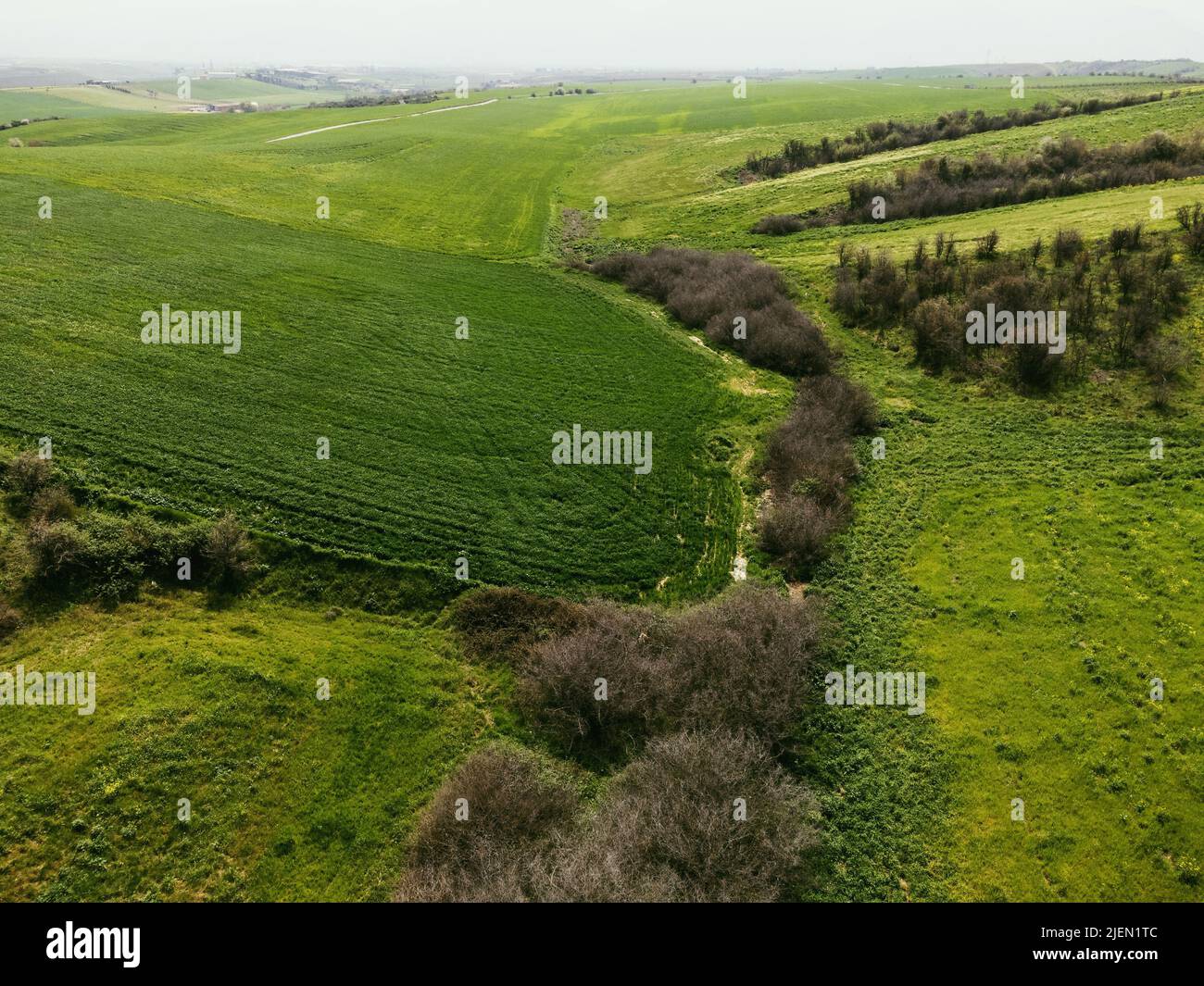 Aerial view of trees among greenery Stock Photo - Alamy