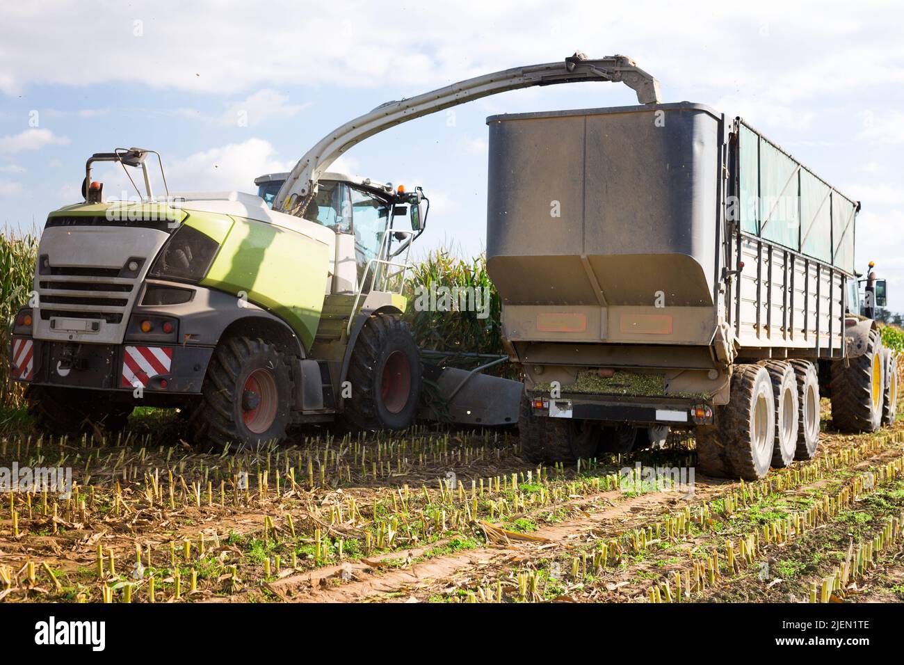 Farming vehicle collecting maize on field Stock Photo - Alamy