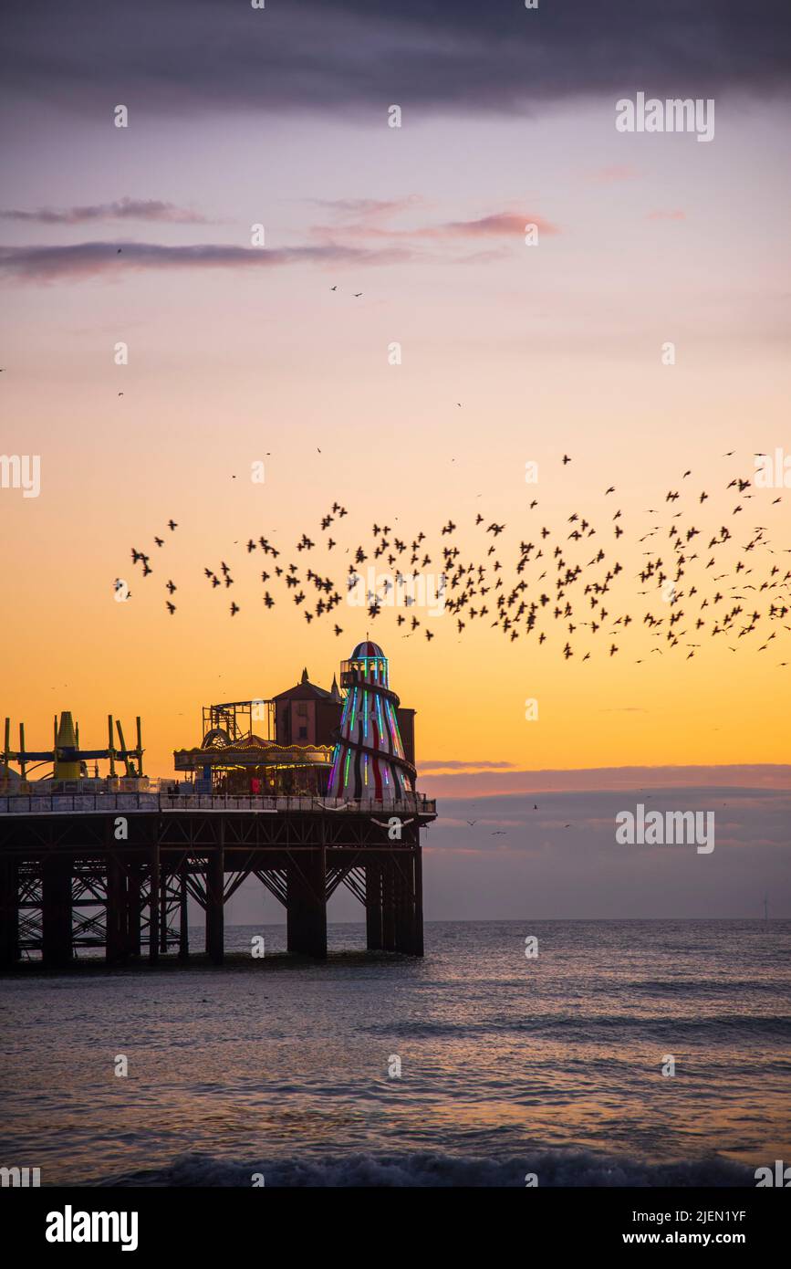 Flying birds over pier hi-res stock photography and images - Alamy
