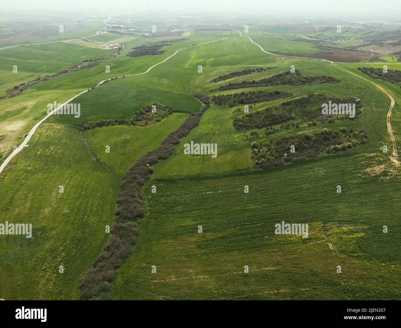 High grass field forest trees hi-res stock photography and images - Alamy