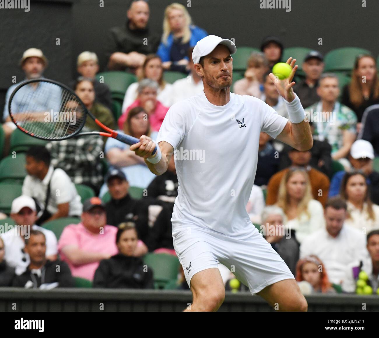 Andy murray wimbledon 2022 hi-res stock photography and images - Alamy