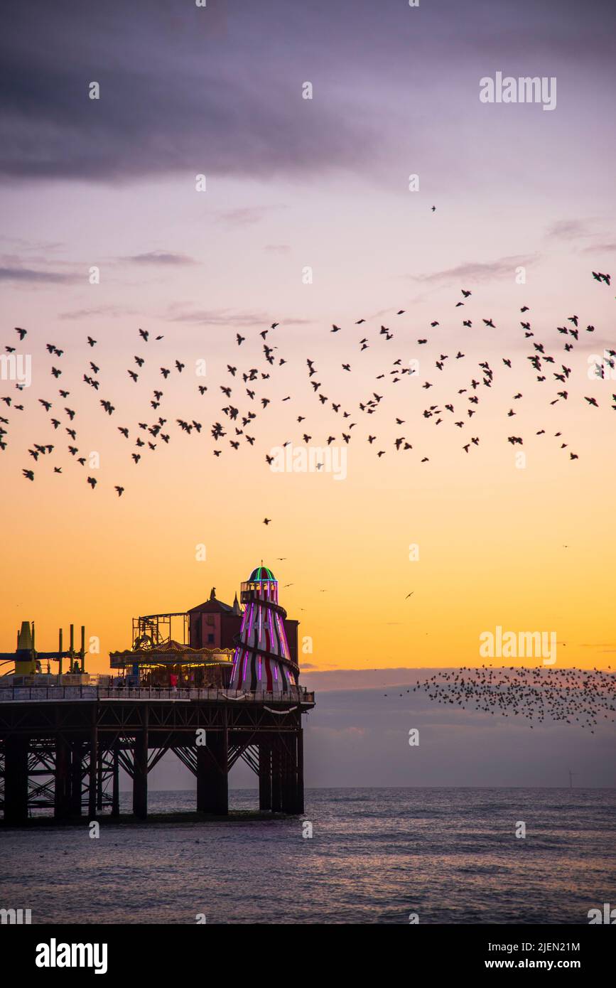 Flying over sunset golden beach hi-res stock photography and images - Alamy