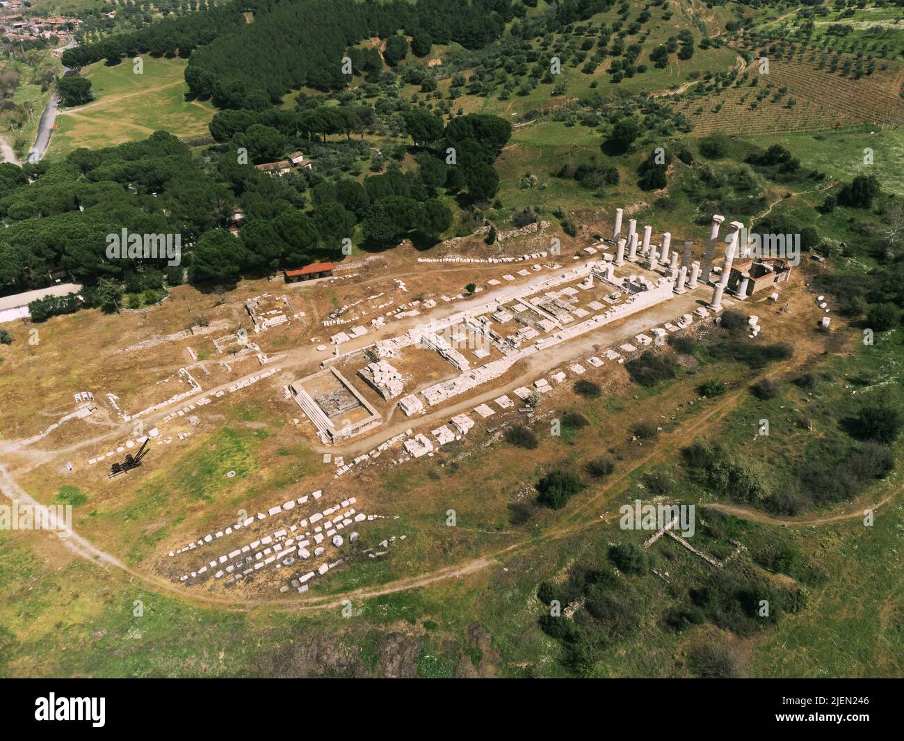 Aerial view of Sardes temple of artemis ruins in trees Stock Photo - Alamy