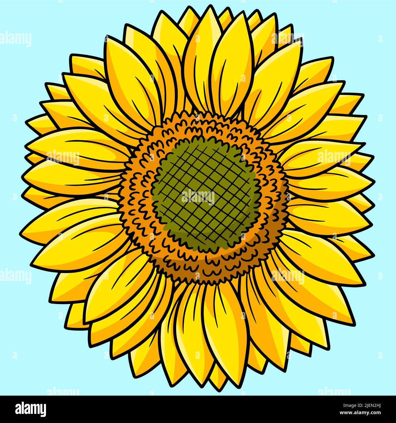Sunflower Flower Colored Cartoon Illustration Stock Vector Image & Art ...
