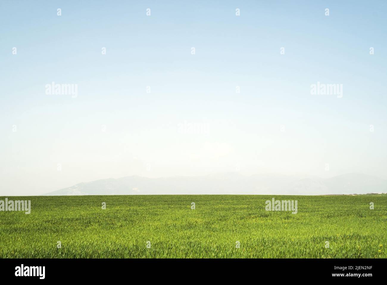 Empty green field landscape hi-res stock photography and images - Alamy