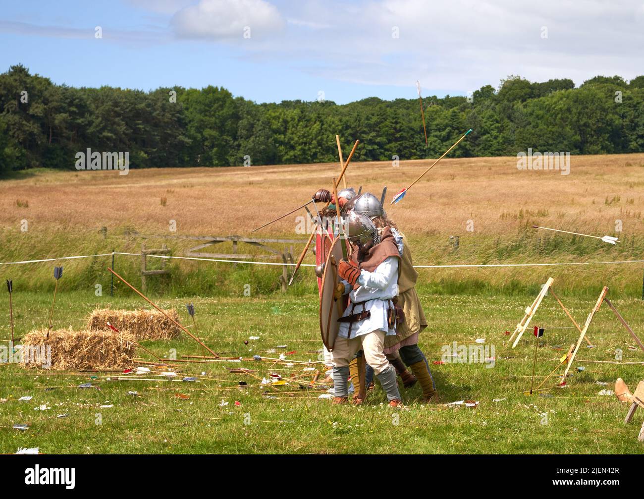 Viking battle reenactment scene Stock Photo - Alamy