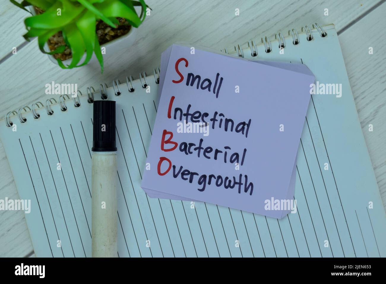 Concept of SIBO - Small Intestinal Bacterial Overgrowth write on sticky ...