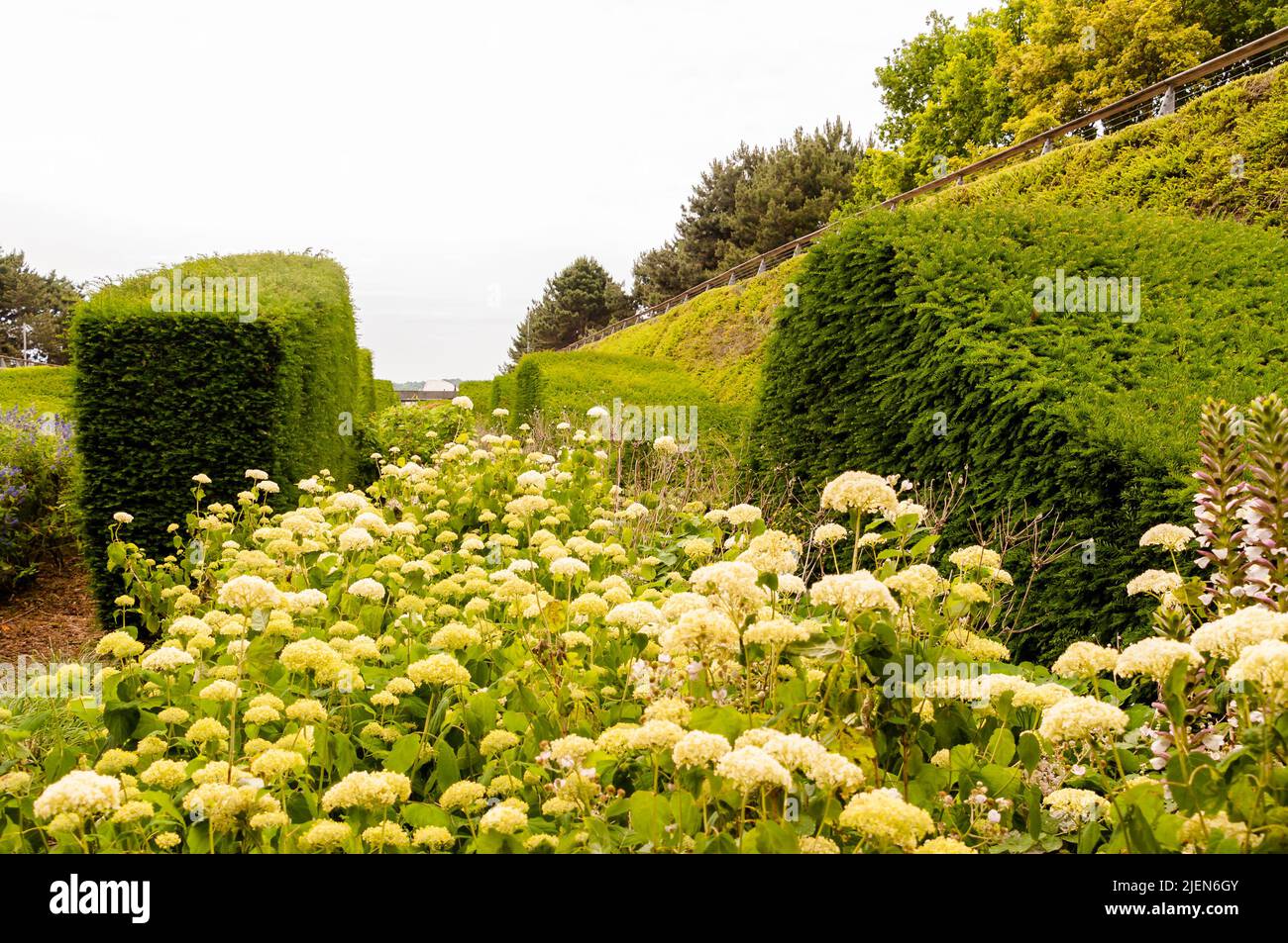 Thames Barrier Park, Silvertown, Newham, London, England, June 19, 2022 ...