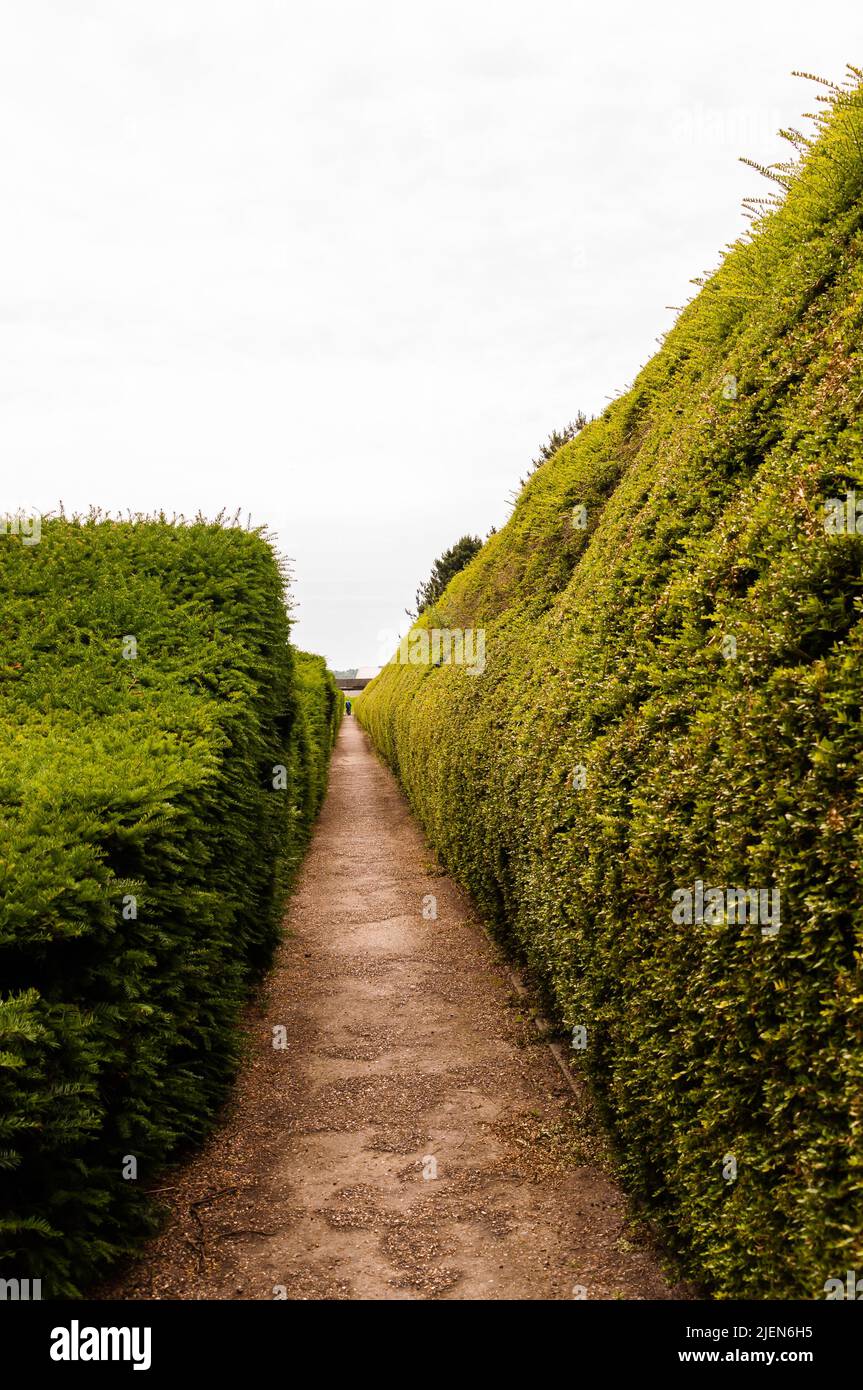 Thames Barrier Park, Silvertown, Newham, London, England, June 19, 2022 ...