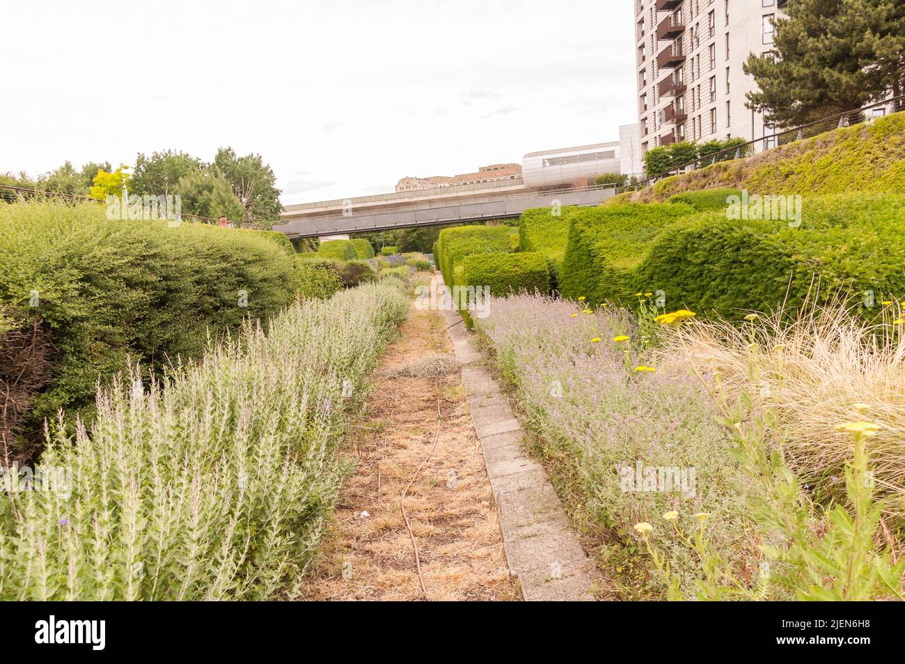 Thames Barrier Park, Silvertown, Newham, London, England, June 19, 2022 ...
